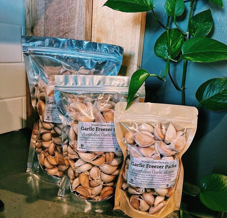 Australian Purple Garlic – Winter Green Farmacy